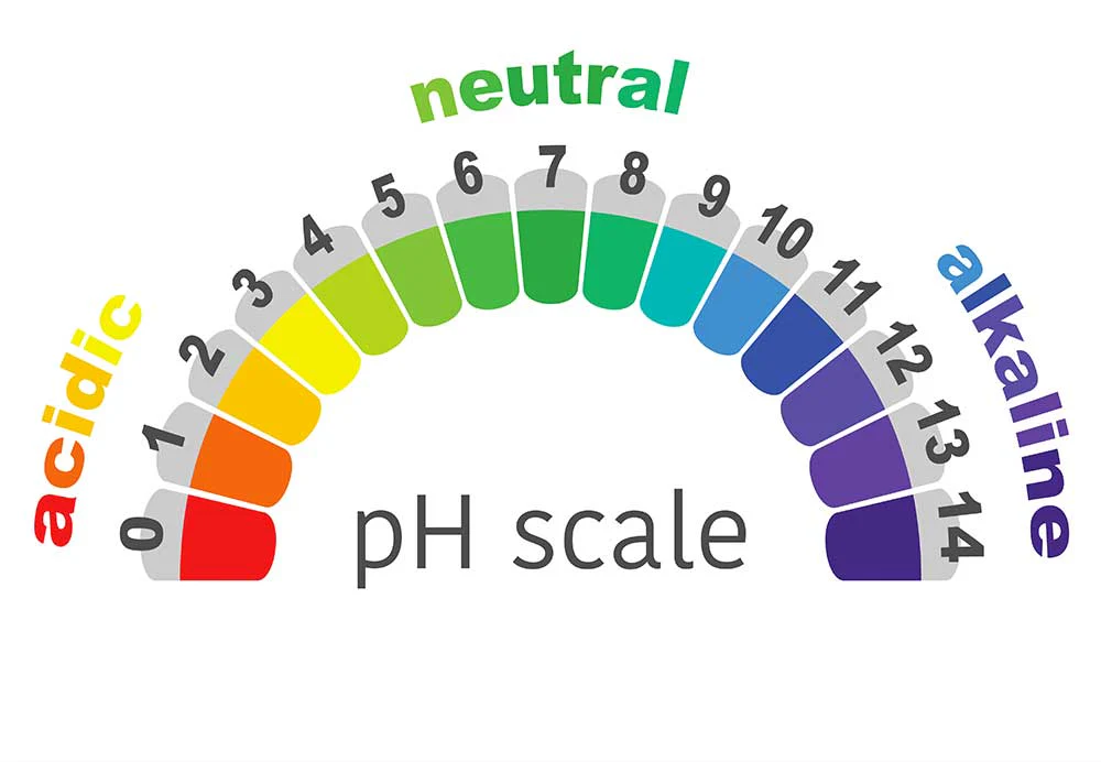pH Levels in Beverages: Why They Matter for Taste & Safety | Ayuray ...